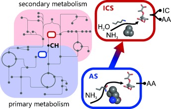 Enzyme evolution - Biology and preclinical medicine - Universität ...